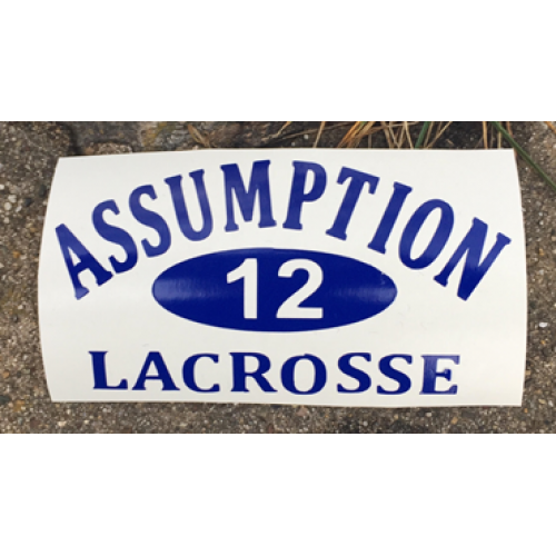 Assumption Decal Stickers – All About U